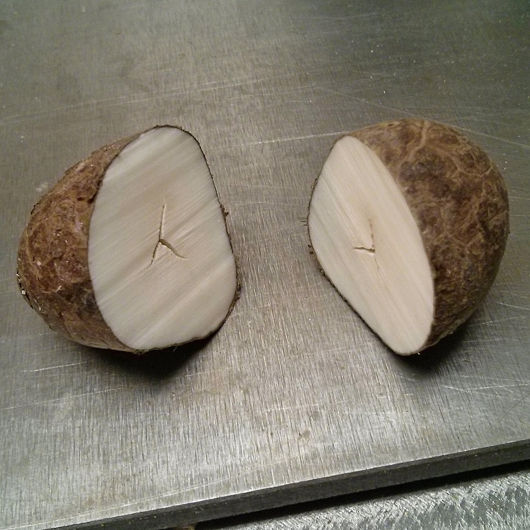 Tagua Nut Guide: South America’s Vegetable Ivory (Vegan, Sustainable ...